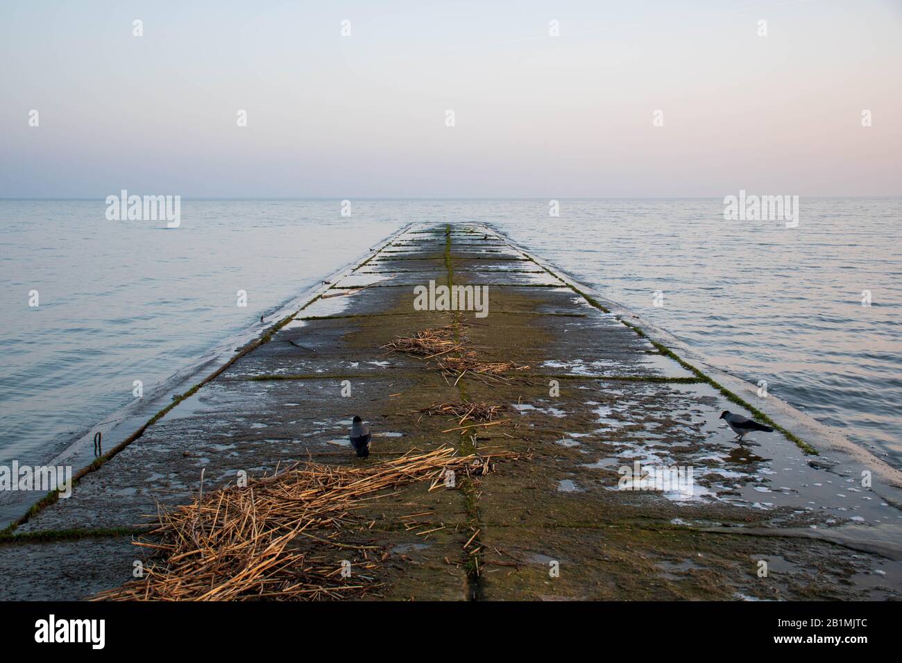 Infinity sea view hi-res stock photography and images - Alamy