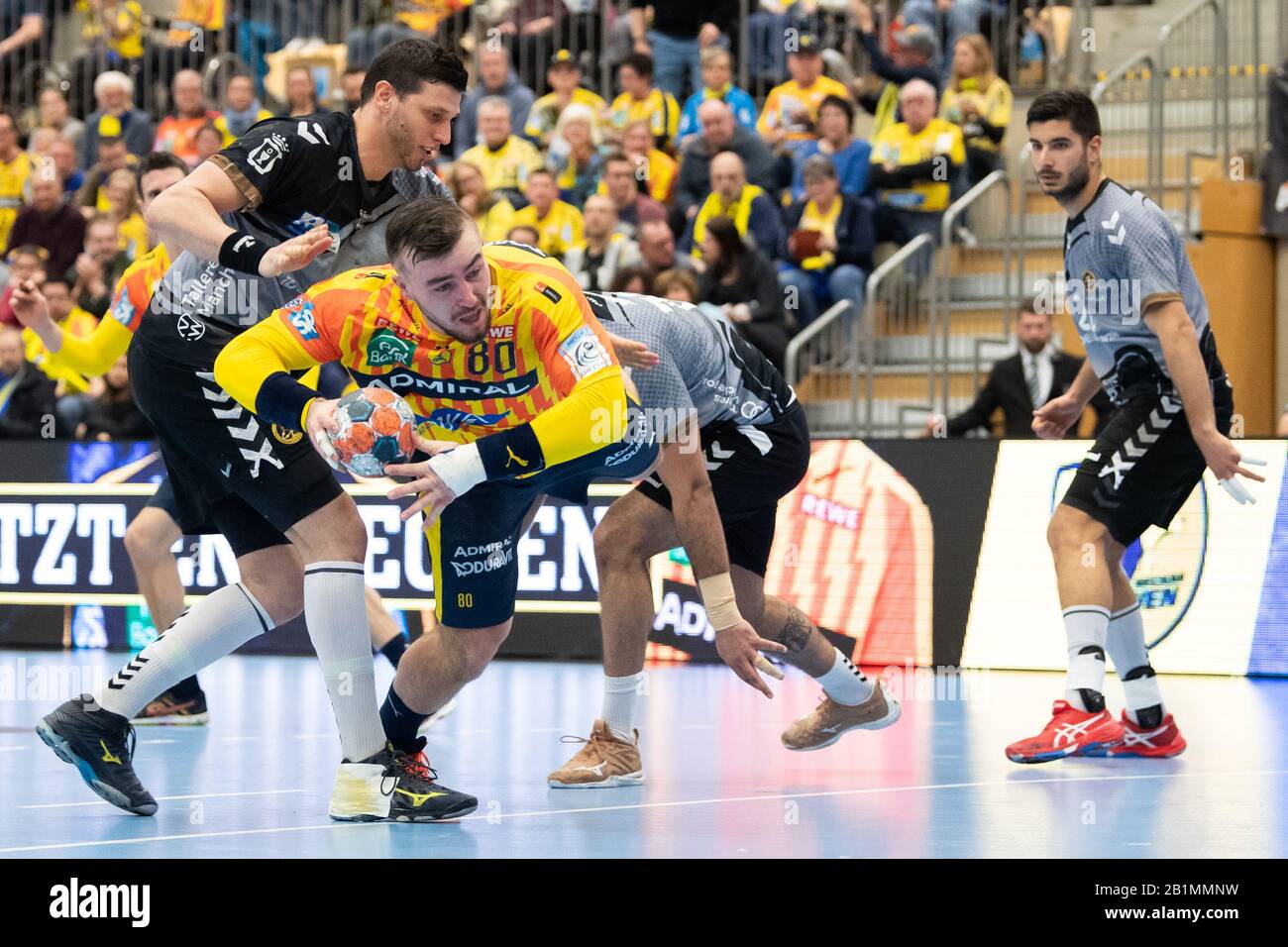 Group lion's main hi-res stock photography and images - Alamy