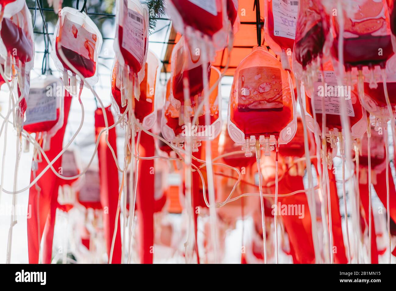 Half empty blood bags, close angle Stock Photo - Alamy