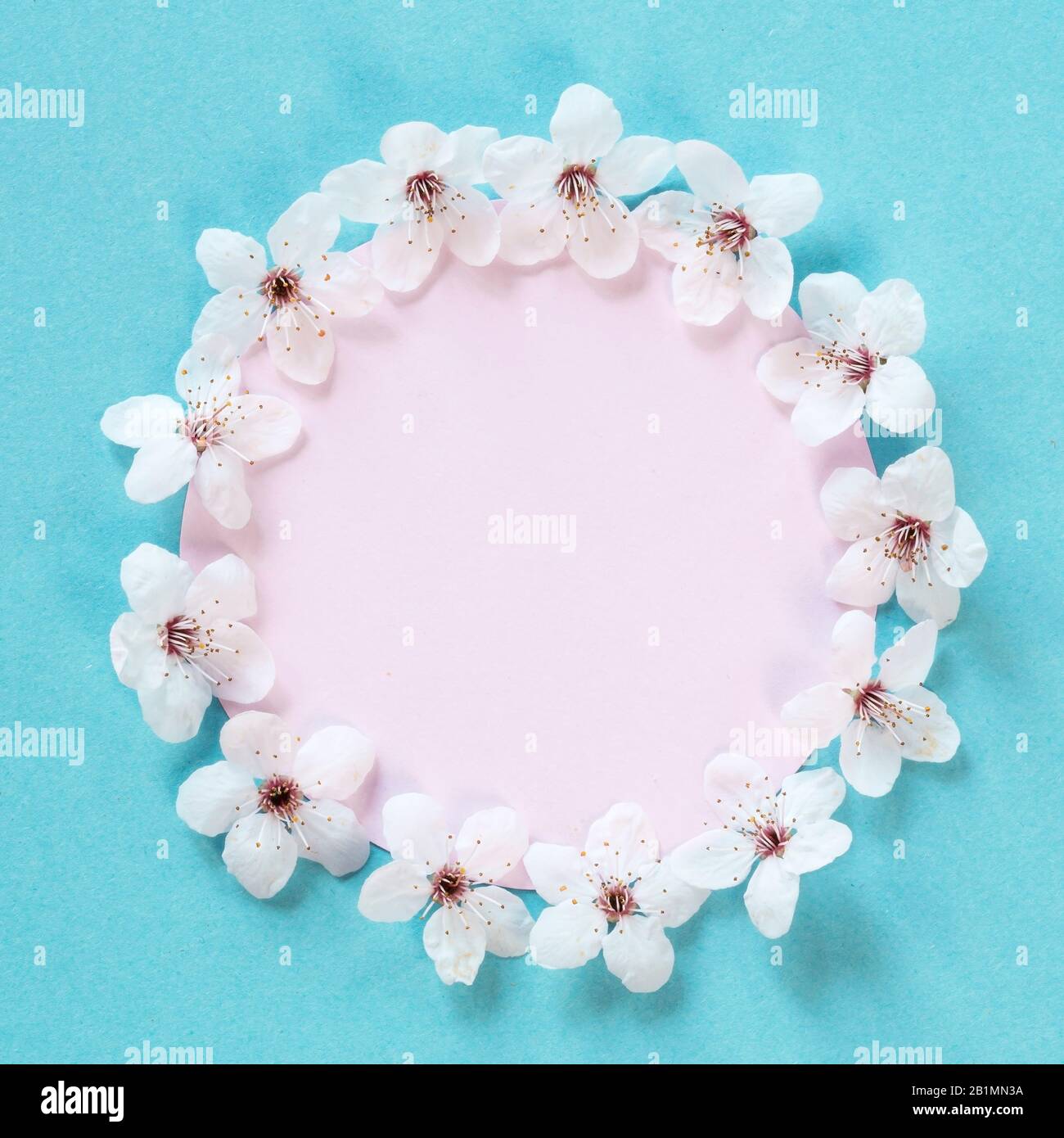 Illustration of a cherry blossom hi-res stock photography and images ...