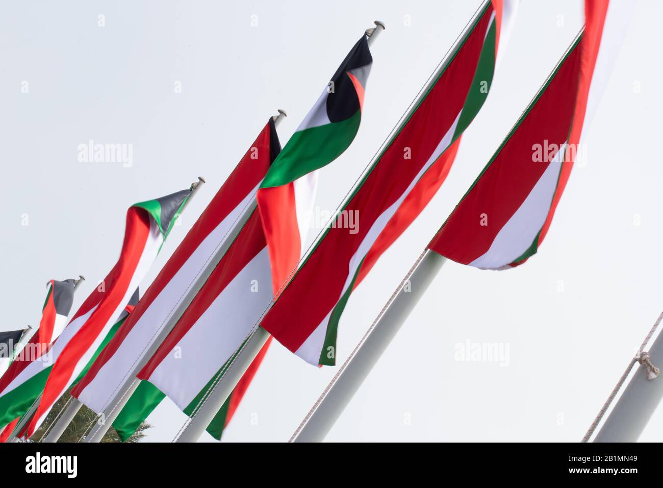 Multiple Kuwait national flags flying during the national day in 2020 ...