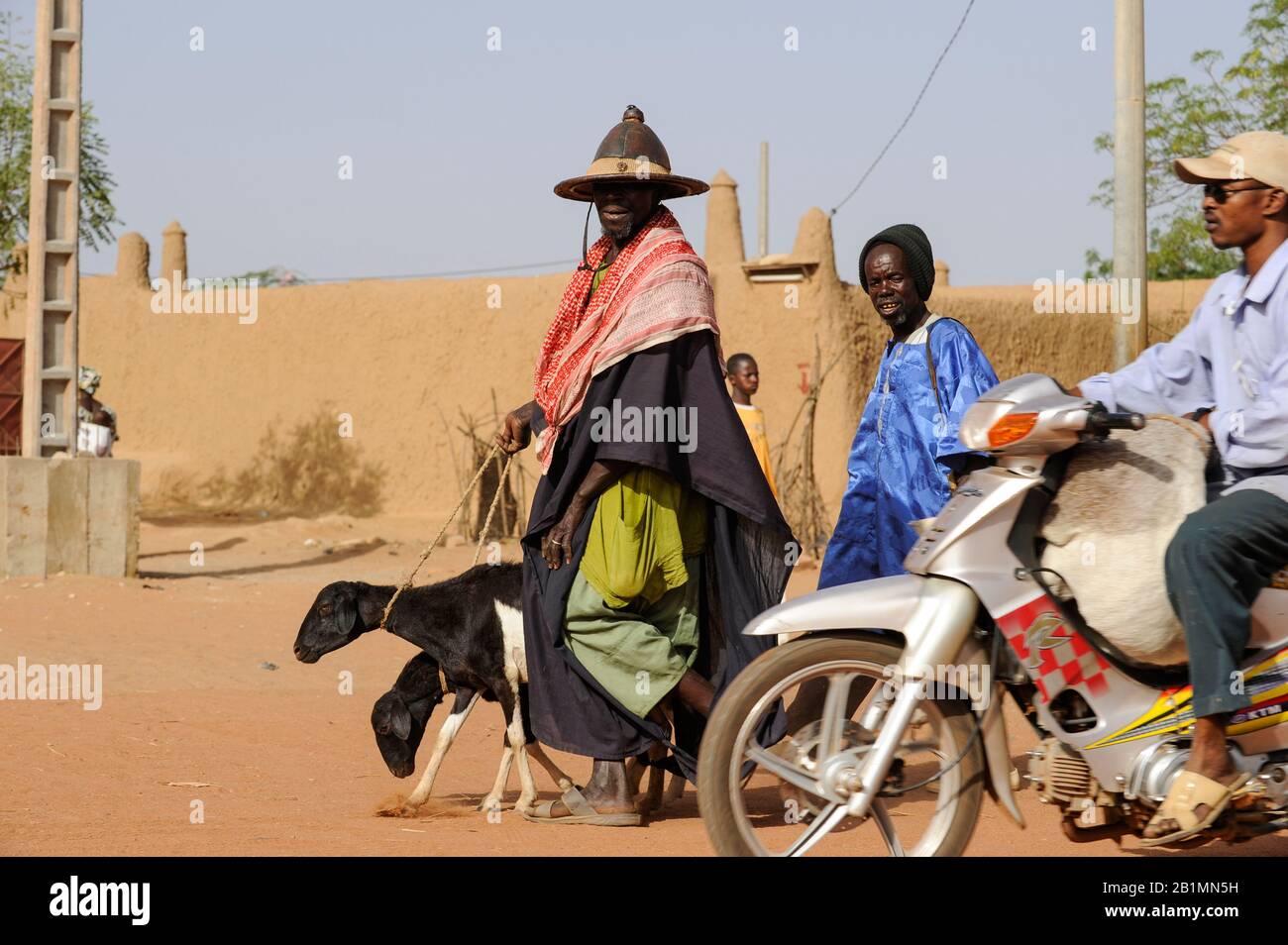 MALI, Dogonland Bandiagara , peulh man Tengaade hat with goats Stock ...