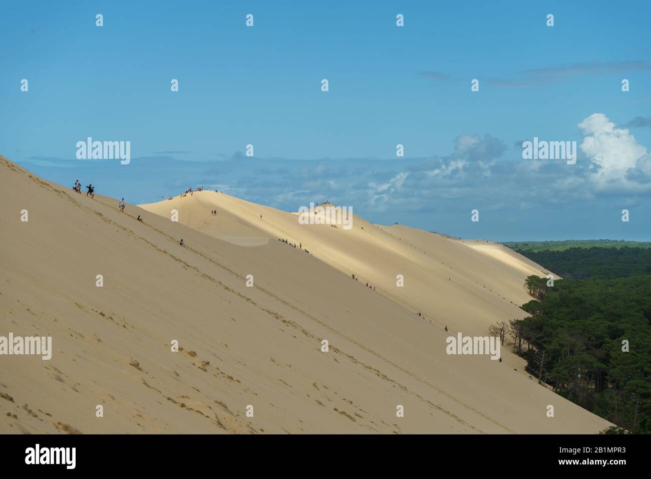 Dune of Pilat Stock Photo - Alamy