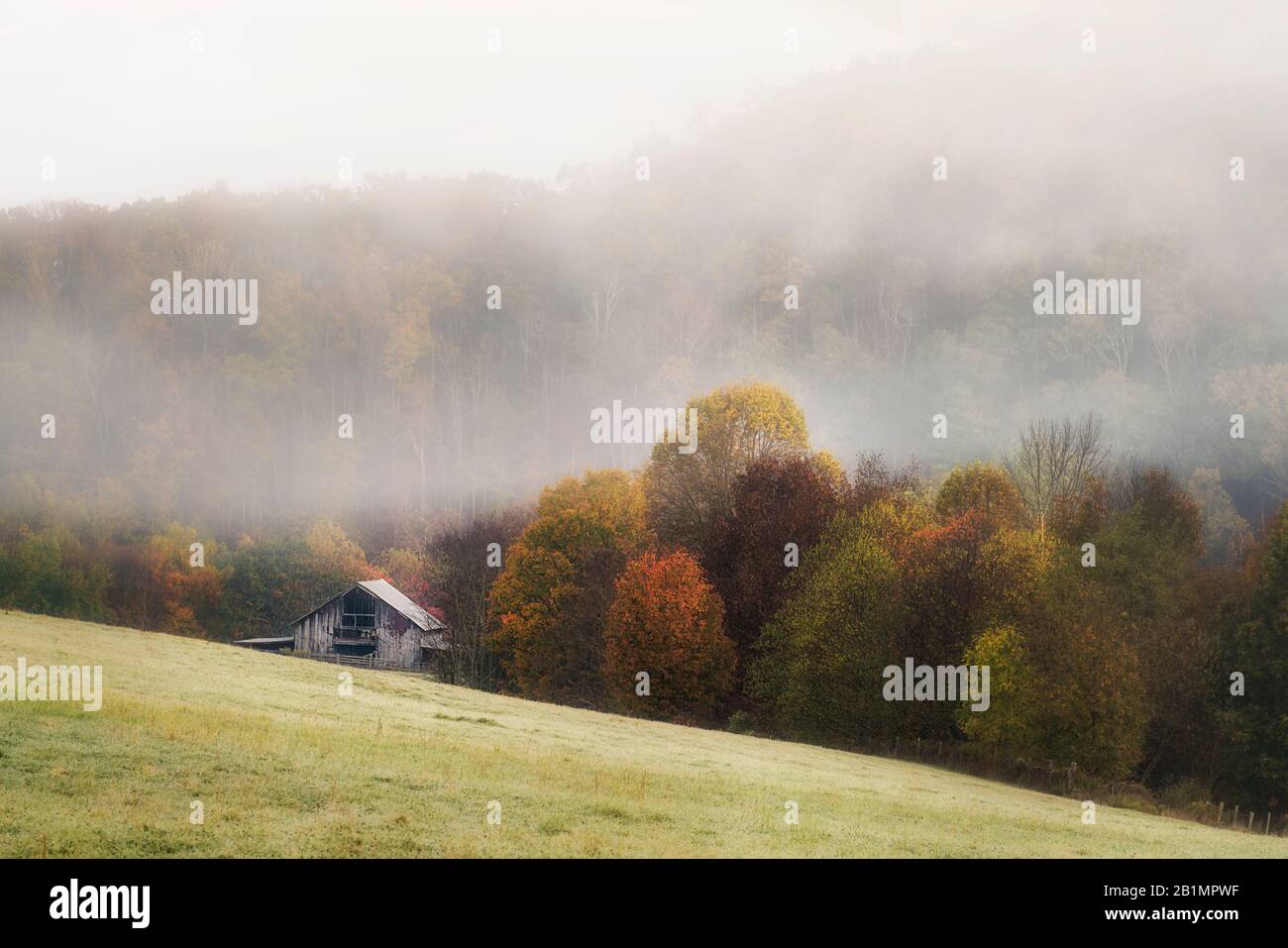 Autumn view of mountains, forests and barn in the Canaan Valley of West ...