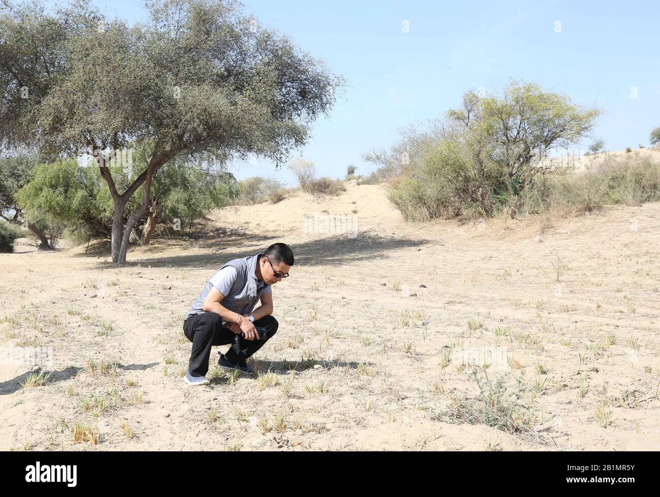 Sindh, Pakistan. 26th Feb, 2020. A Chinese locust expert checks soil in ...