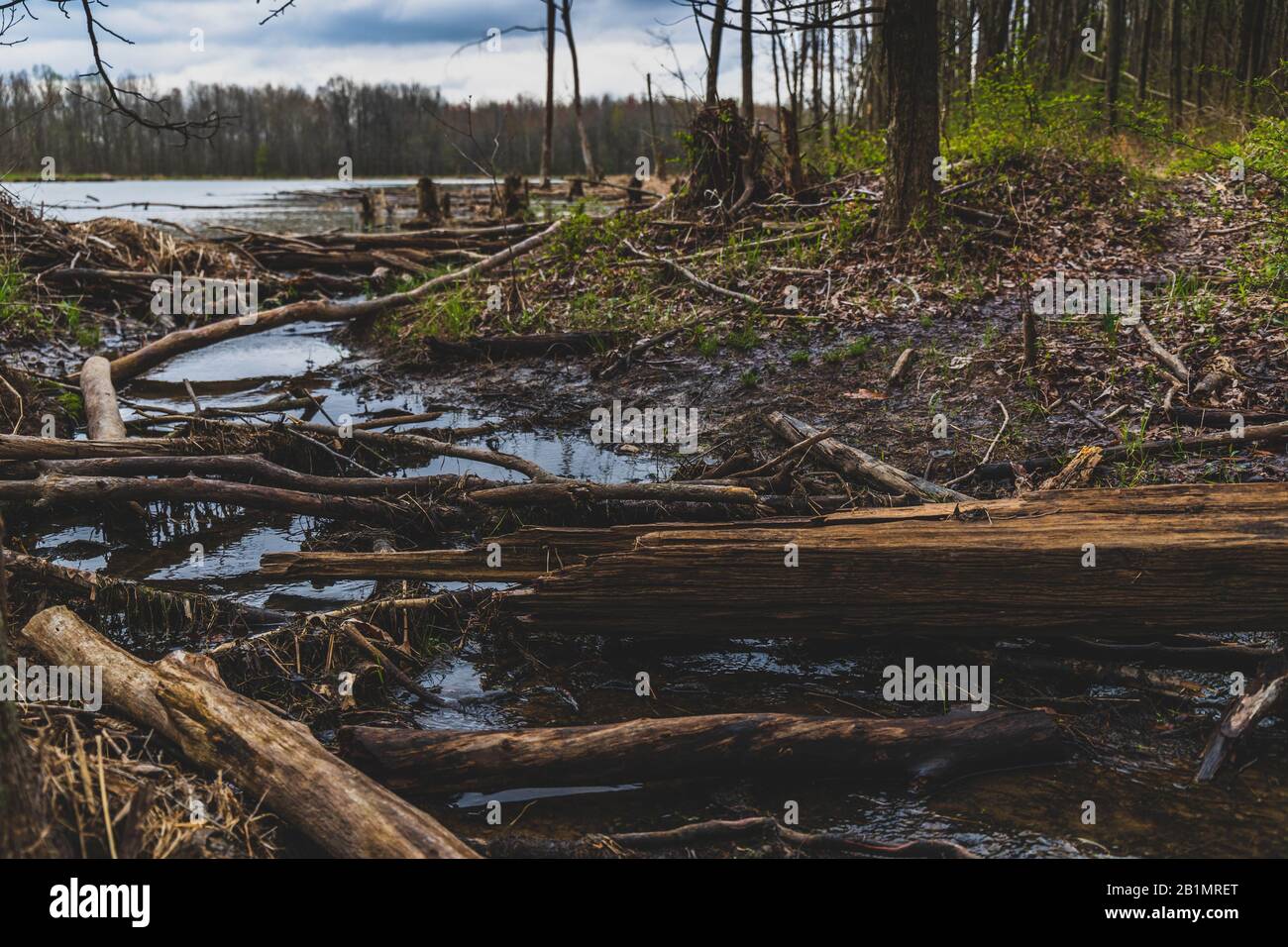 Overflow lake hi-res stock photography and images - Alamy