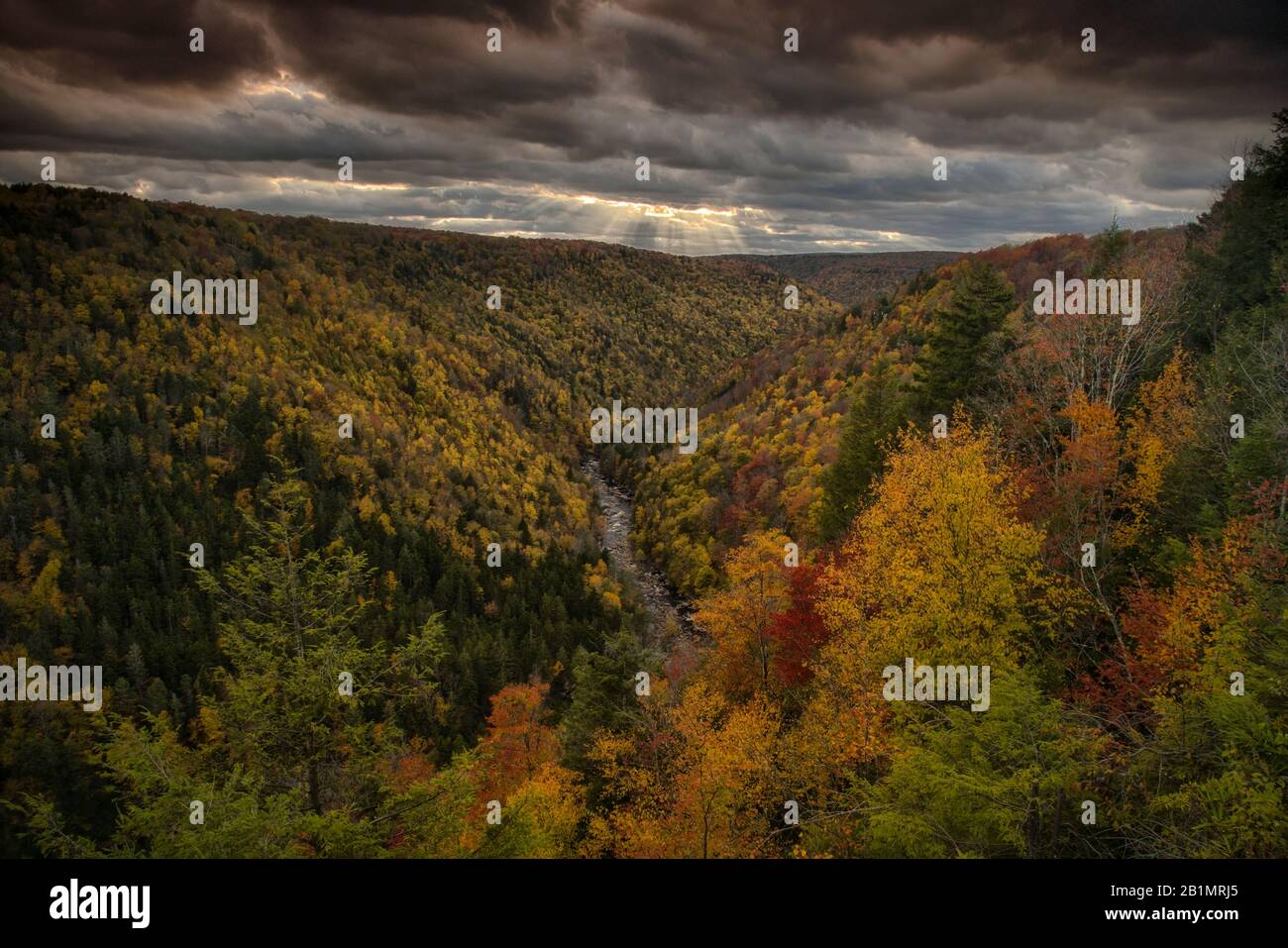 Balackwater hi-res stock photography and images - Alamy