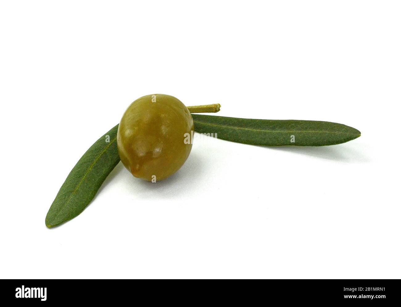 Olive branch with green olives, isolated on white background Stock ...