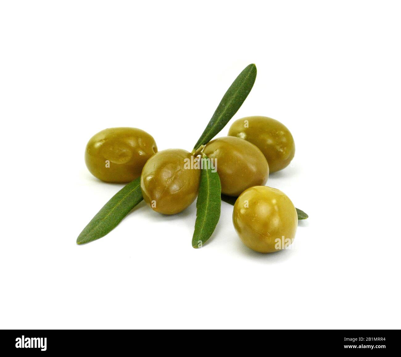Olive branch with green olives, isolated on white background Stock ...