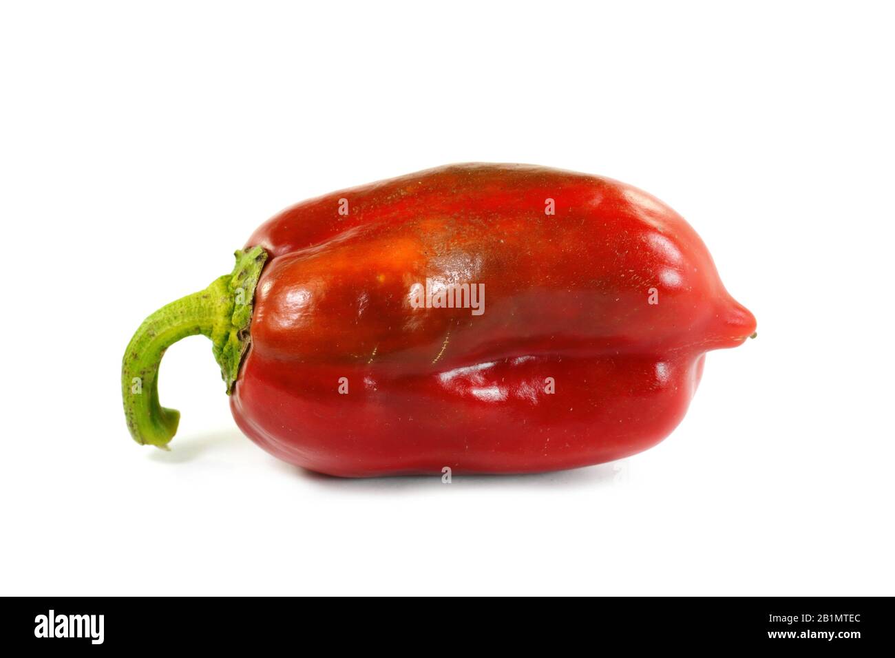 fresh red paprika isolated on white background Stock Photo - Alamy