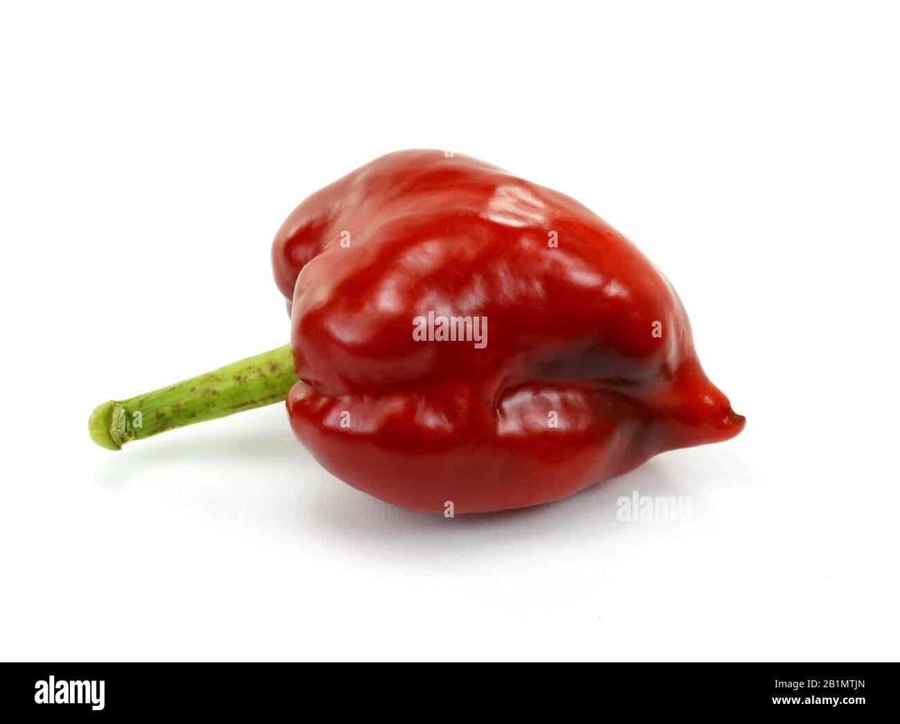 fresh red paprika isolated on white background Stock Photo - Alamy