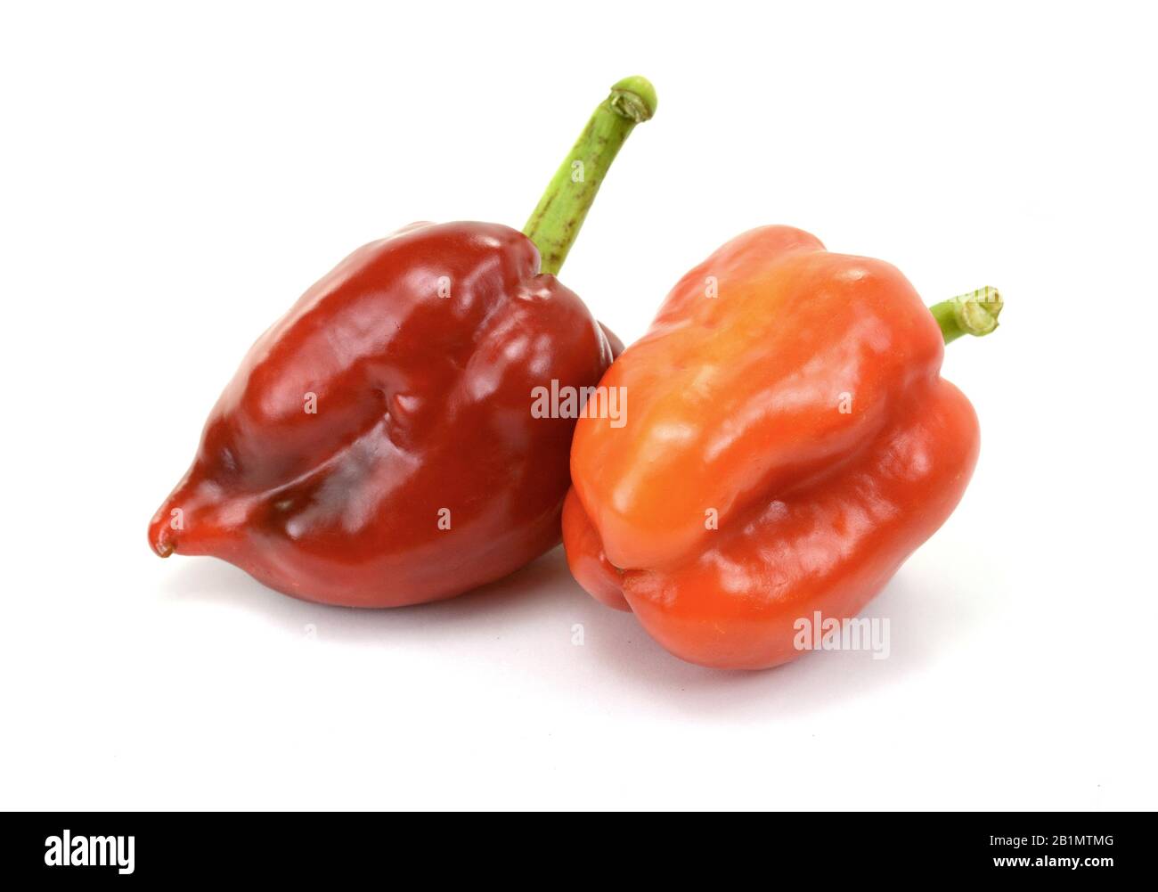 fresh red paprika isolated on white background Stock Photo - Alamy