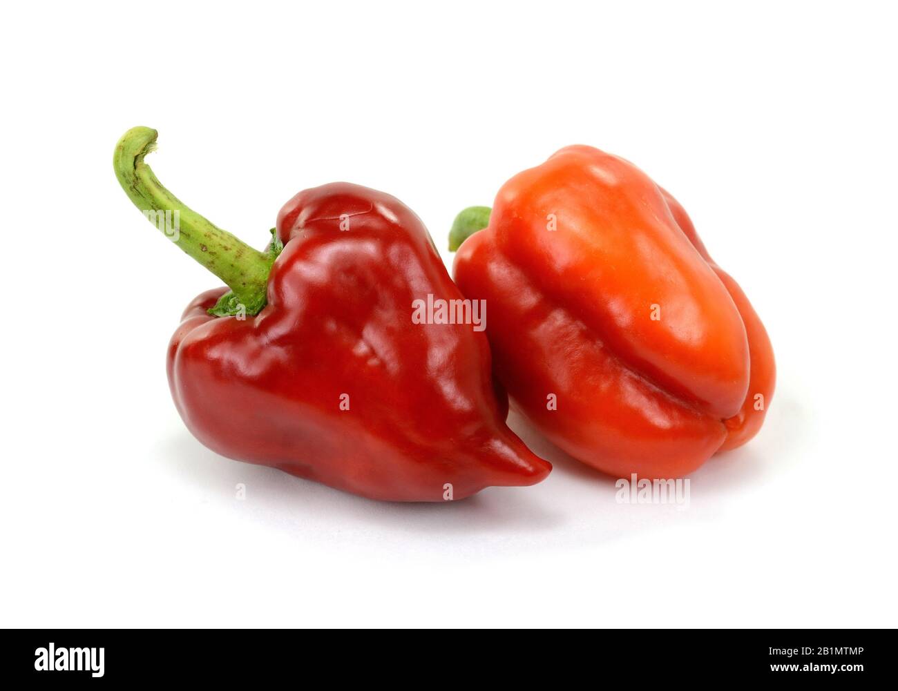 fresh red paprika isolated on white background Stock Photo - Alamy