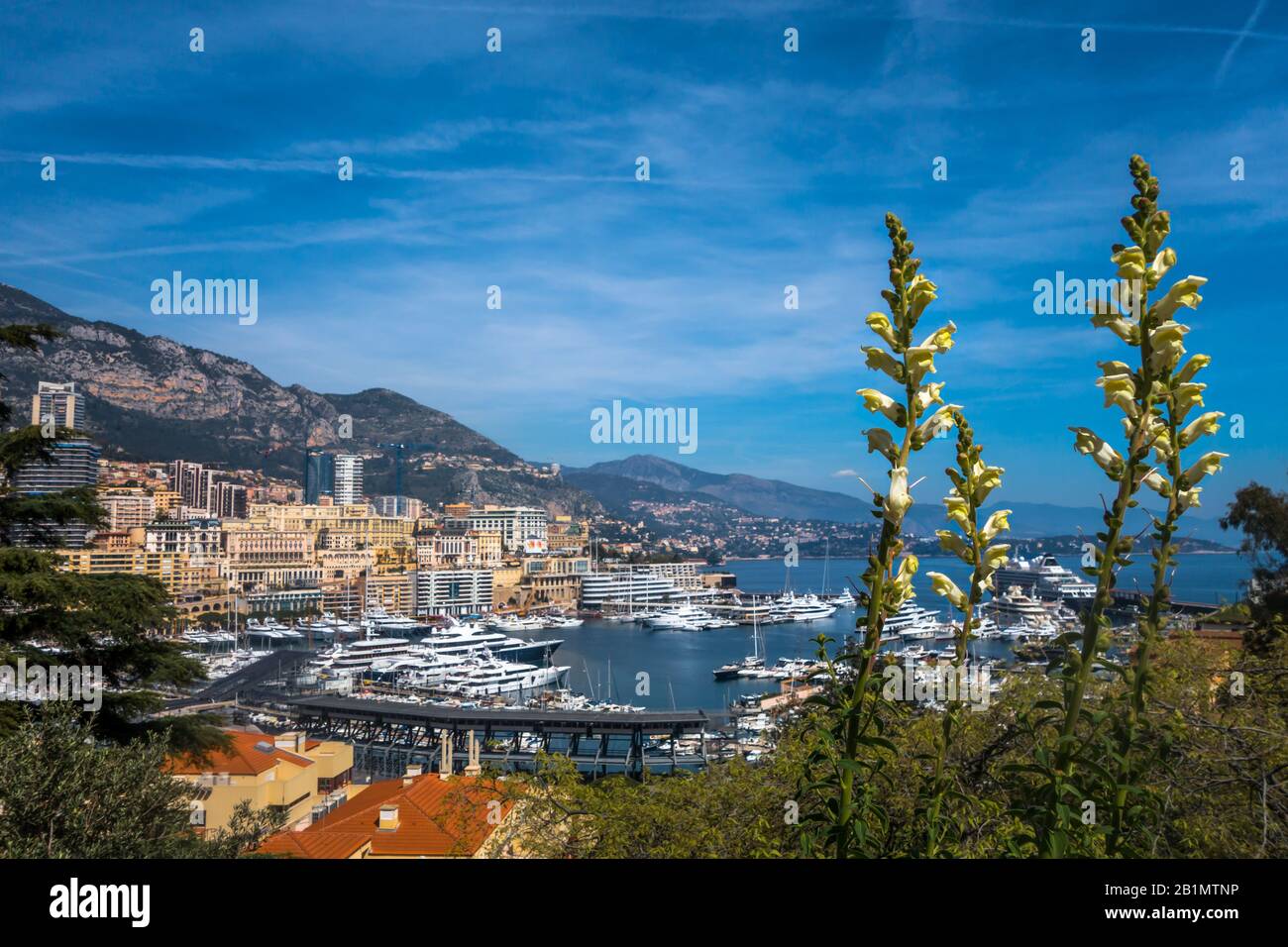 Yacht harbor of Monaco in the Mediterranean Sea in summer with flowers ...