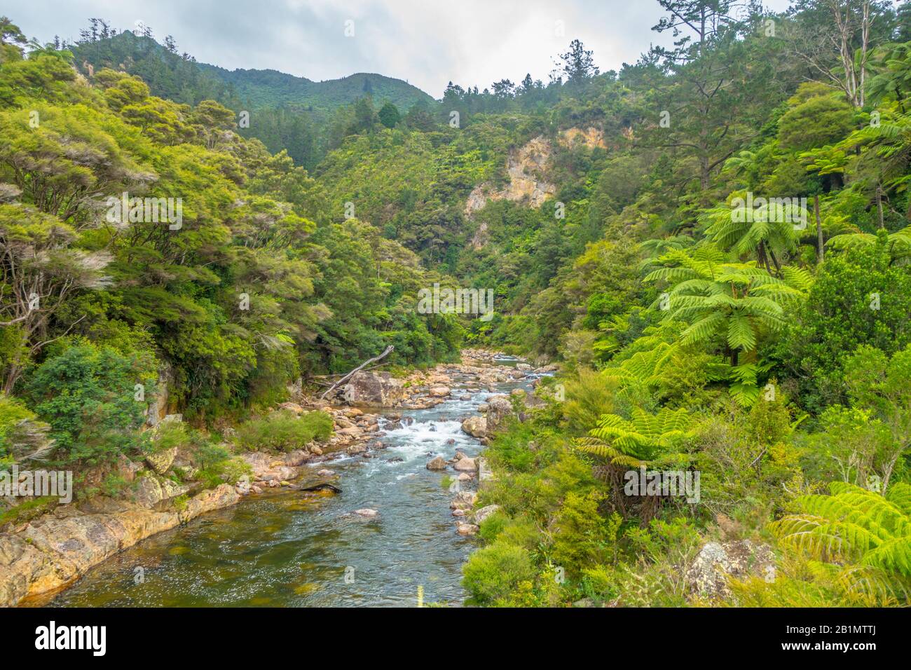Karangahake gorge new zealand hi-res stock photography and images - Alamy