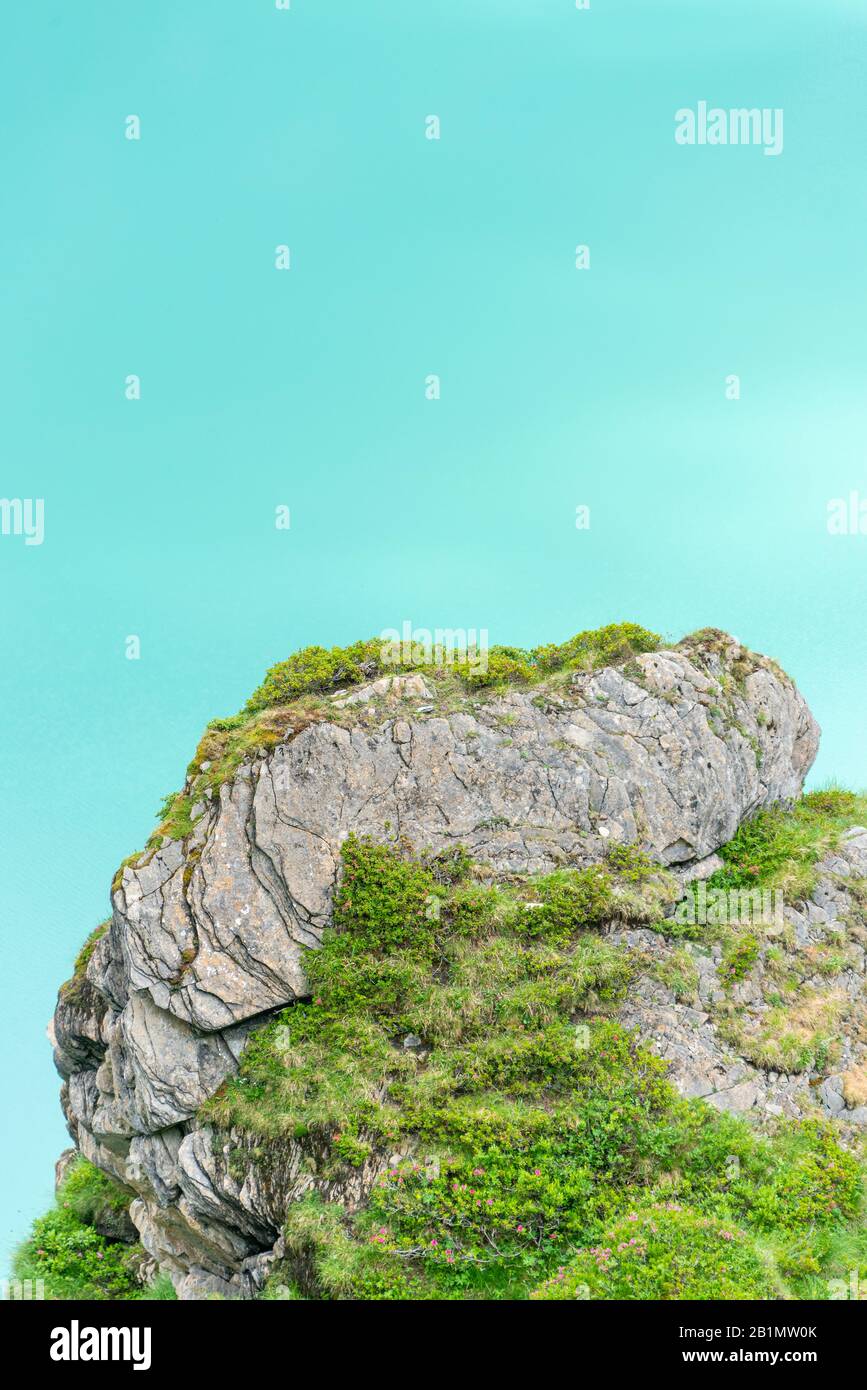 Textured background of water surface near rock with copy space. Plants ...