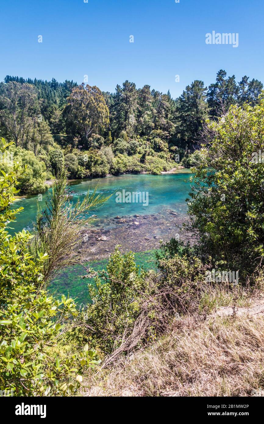 Colorful nature at idyllic Waikato River near Huka Falls, New Zealand ...