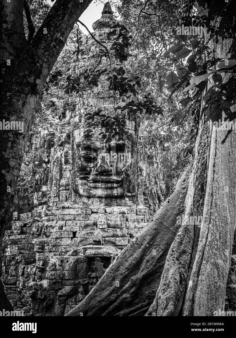 Close up of laterite stone Black and White Stock Photos & Images - Alamy