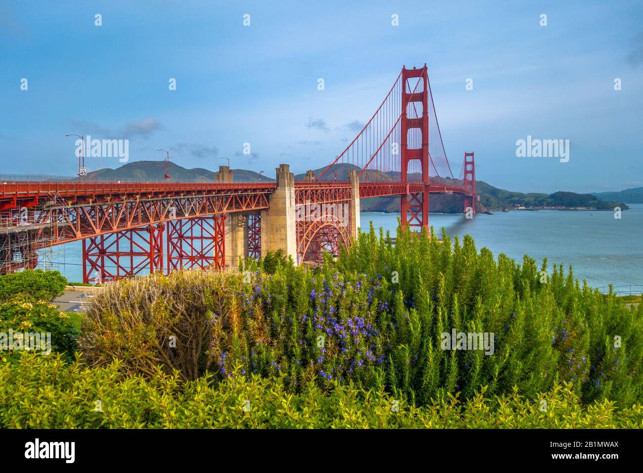 Golden Gate Bridge in summer with plants in front, San Francisco ...
