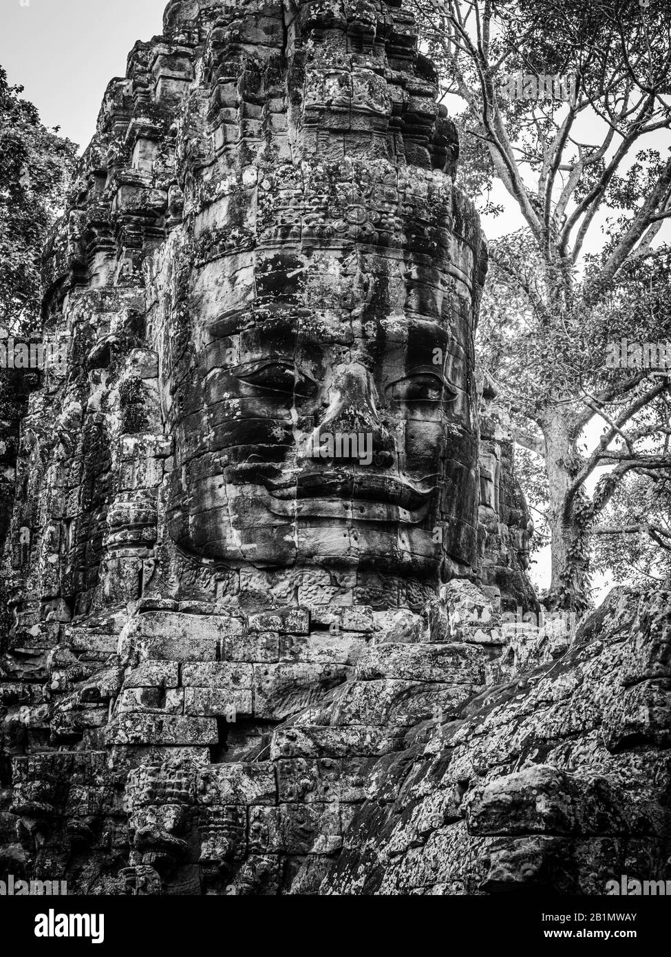 Close up of laterite stone Black and White Stock Photos & Images - Alamy