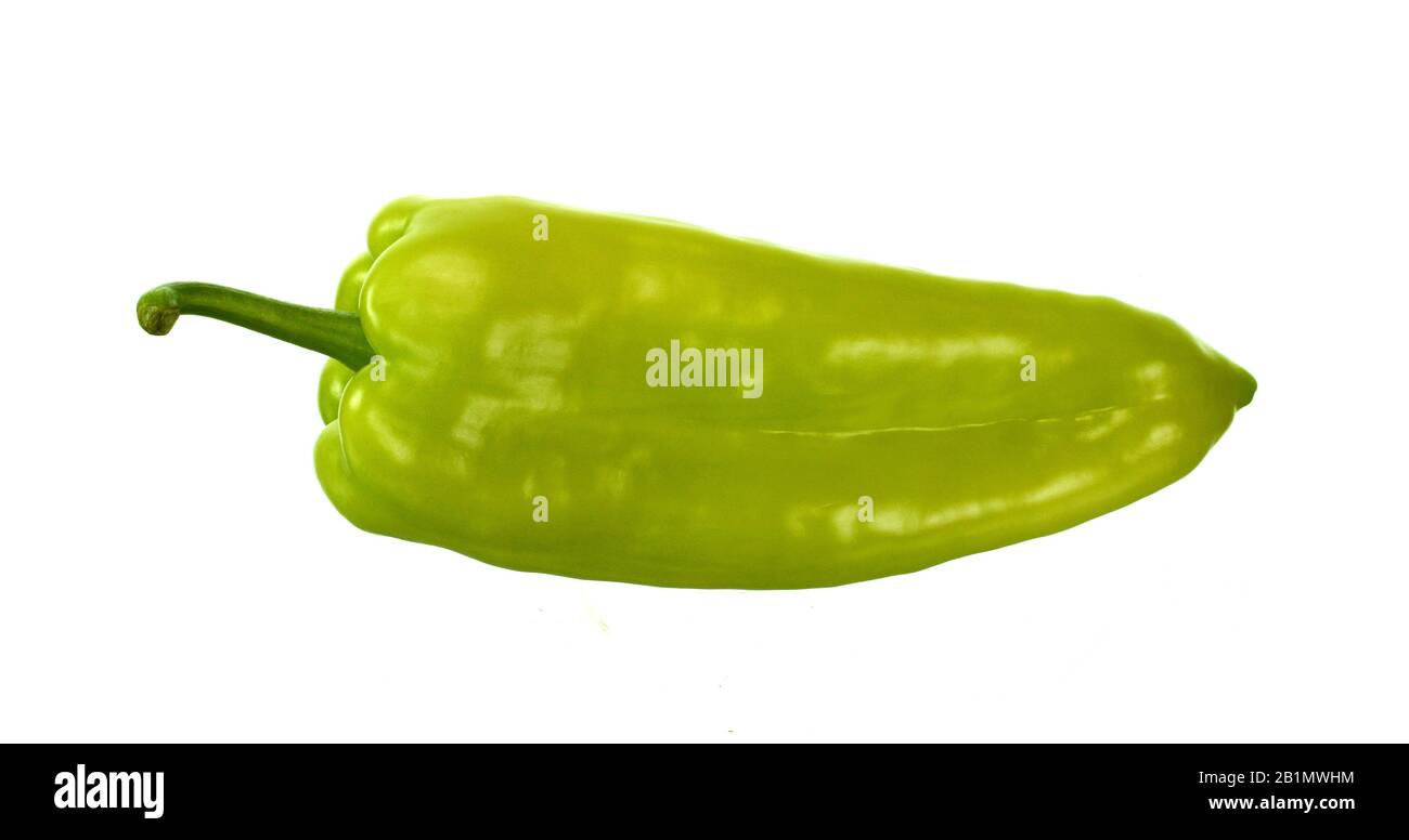 fresh green paprika isolated on white background Stock Photo - Alamy