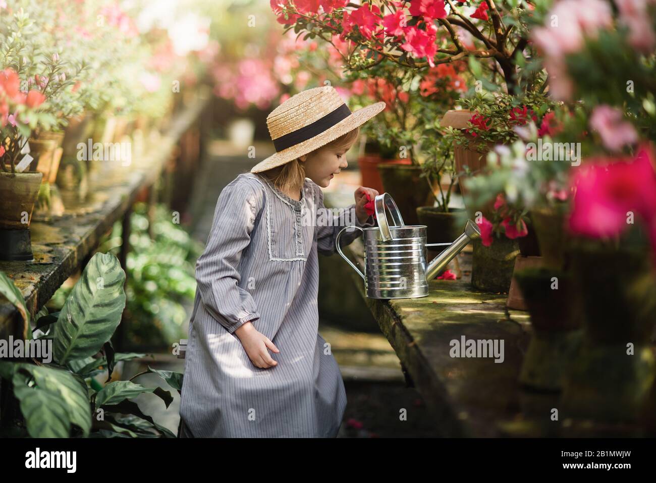 Child planting spring flowers. Little girl gardener plants azalea. Girl ...