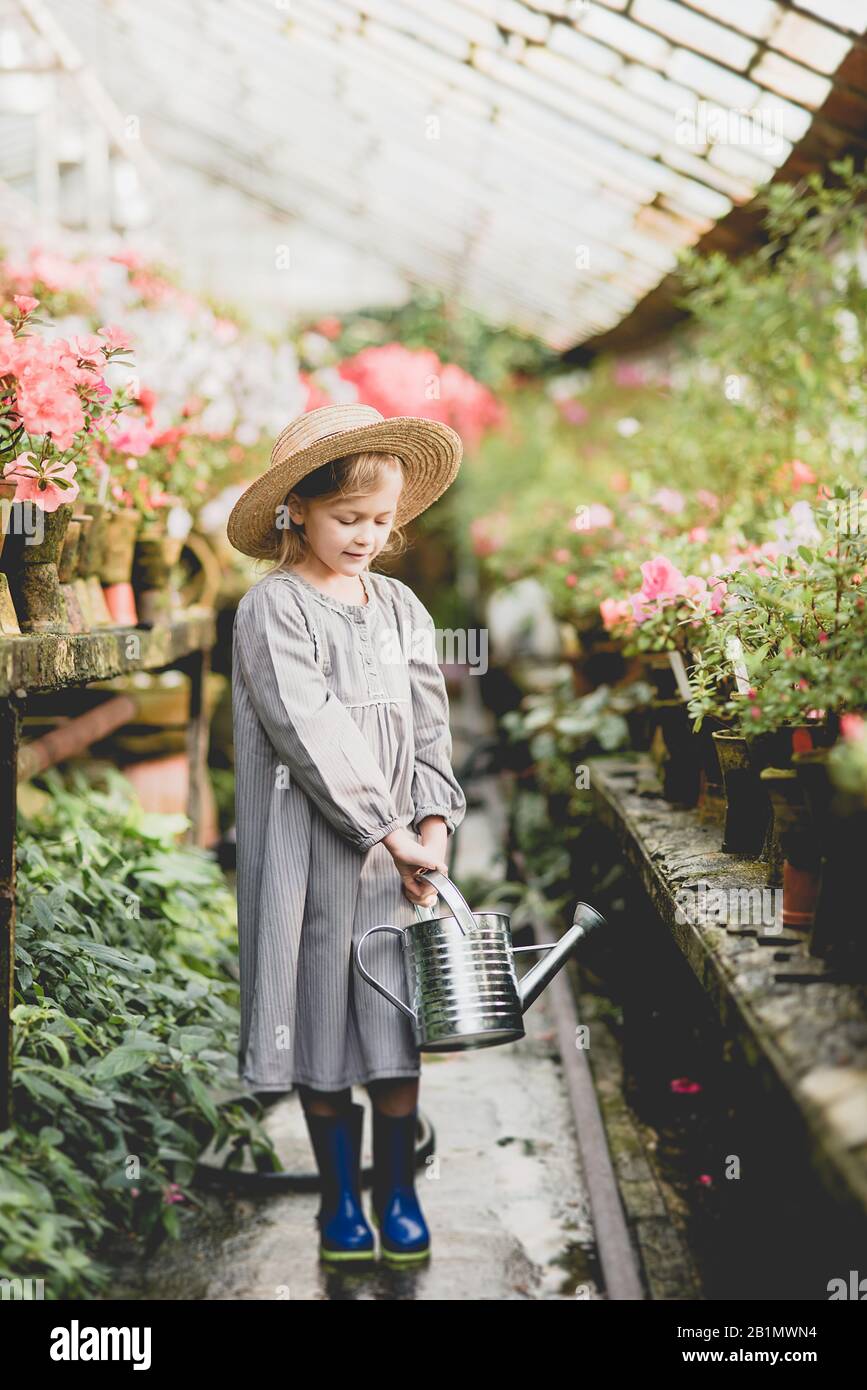Child planting spring flowers. Little girl gardener plants azalea. Girl ...