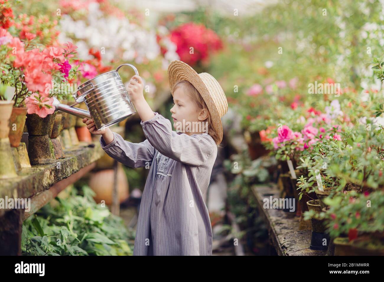Child planting spring flowers. Little girl gardener plants azalea. Girl ...