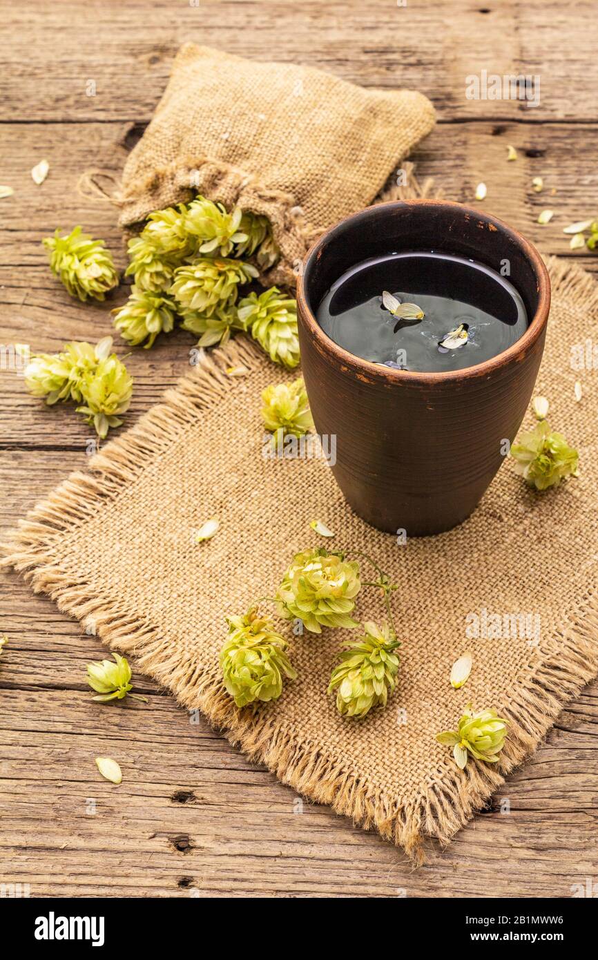 Cup of calming herbal tea with fresh wild hops. Brewery. Beer ...