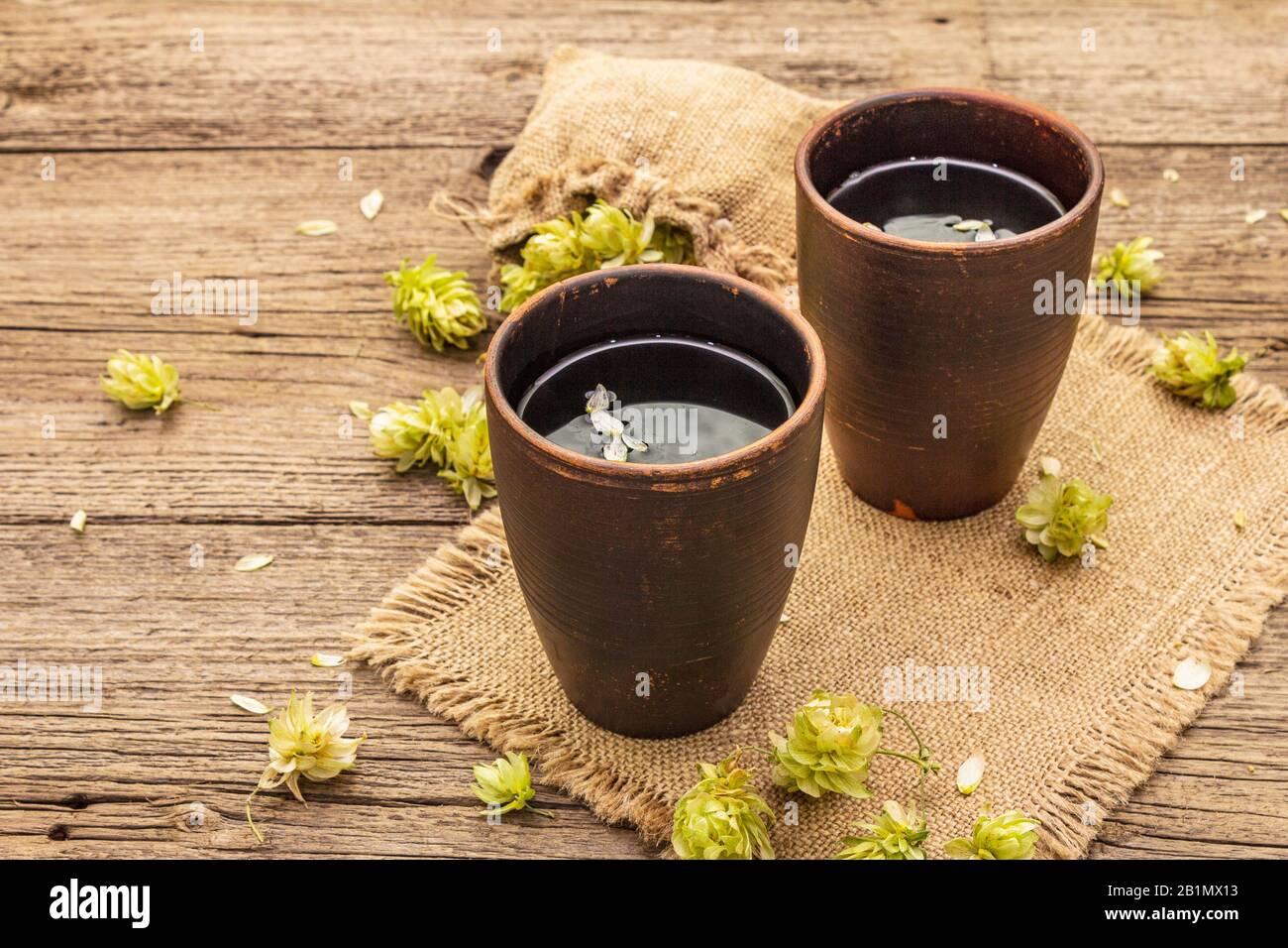 Cup of calming herbal tea with fresh wild hops. Brewery. Beer ...