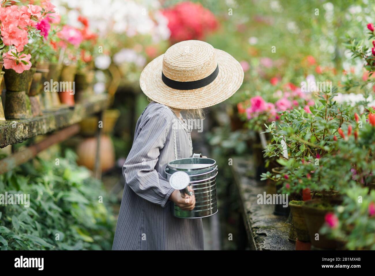 Child planting spring flowers. Little girl gardener plants azalea. Girl ...