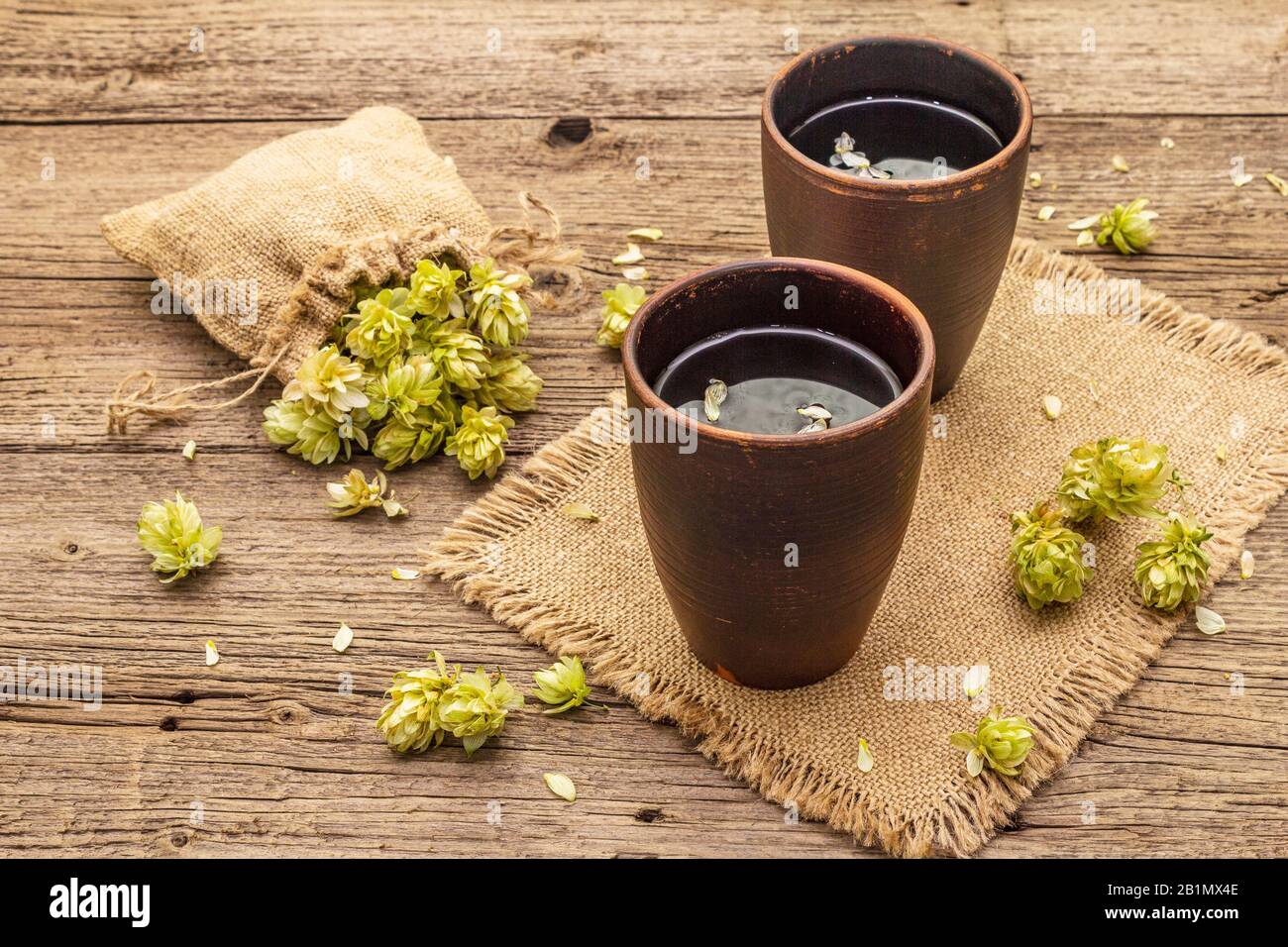 Cup of calming herbal tea with fresh wild hops. Brewery. Beer ...