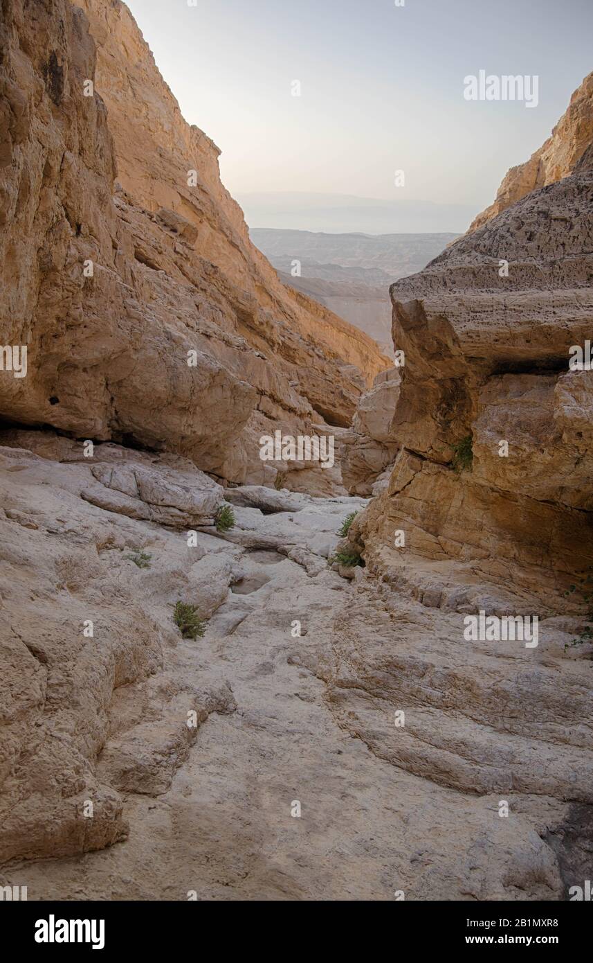 Hiking in stone desert mountain landscape of Israel Stock Photo - Alamy
