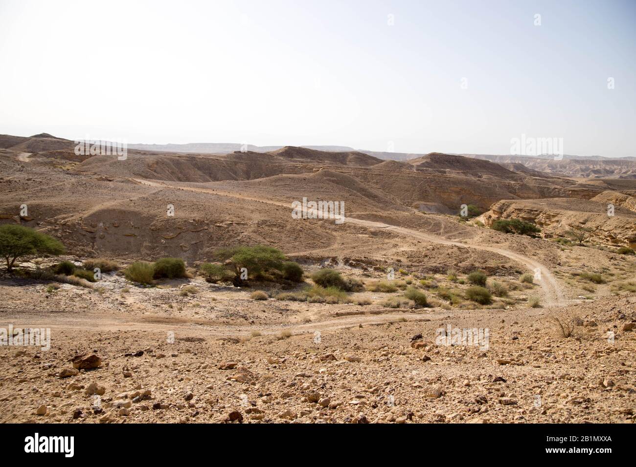 Hiking in stone desert mountain landscape of Israel Stock Photo - Alamy
