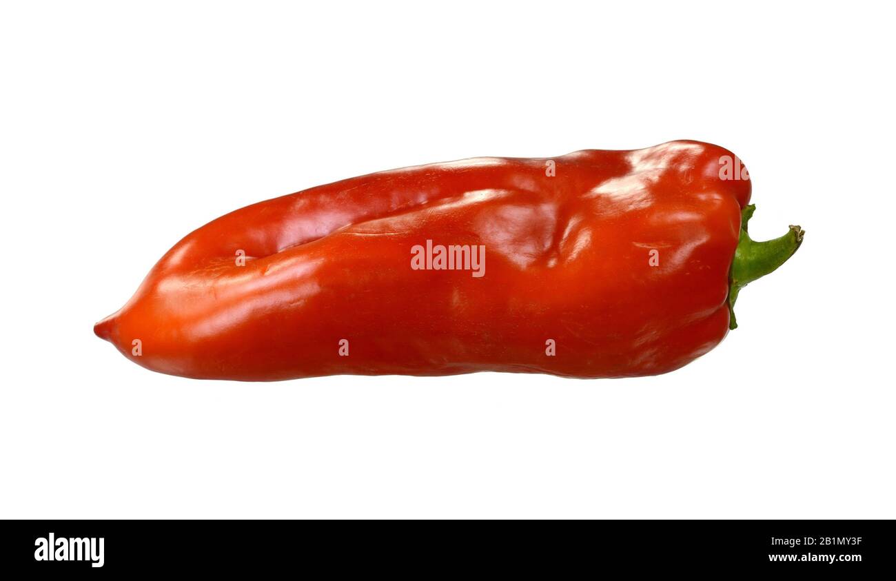 fresh red paprika isolated on white background Stock Photo - Alamy