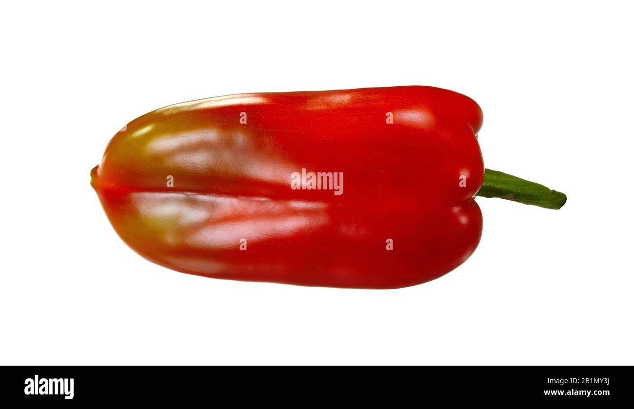 fresh red paprika isolated on white background Stock Photo - Alamy