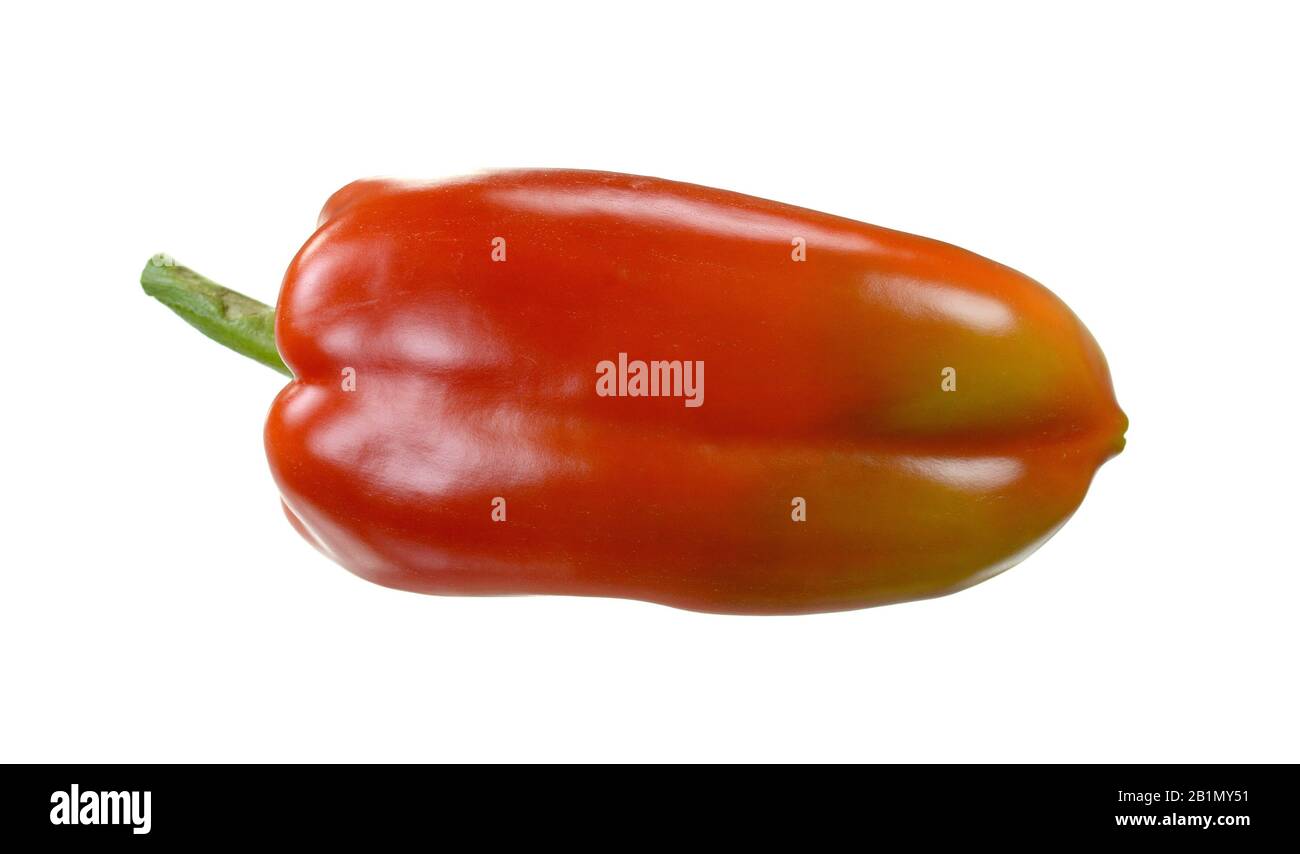 fresh red paprika isolated on white background Stock Photo - Alamy