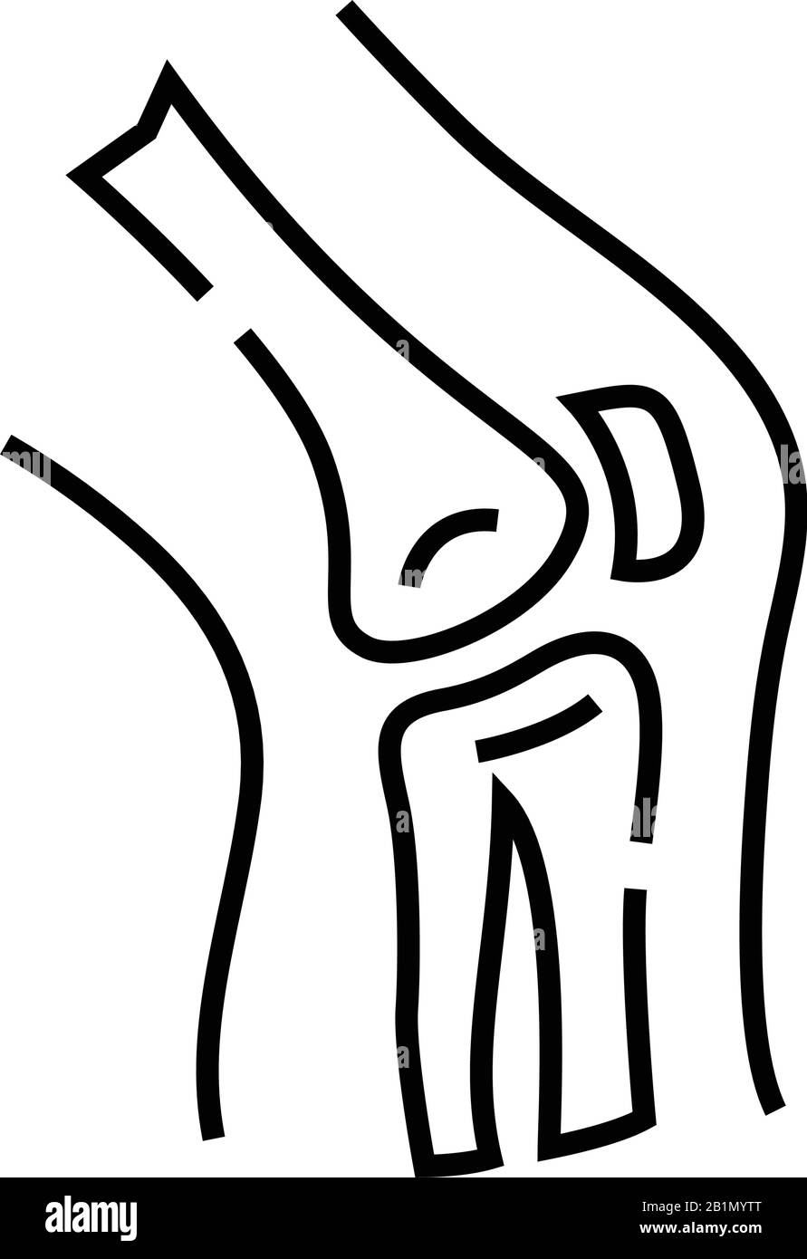 Inner knee bones structure line icon, concept sign, outline vector ...