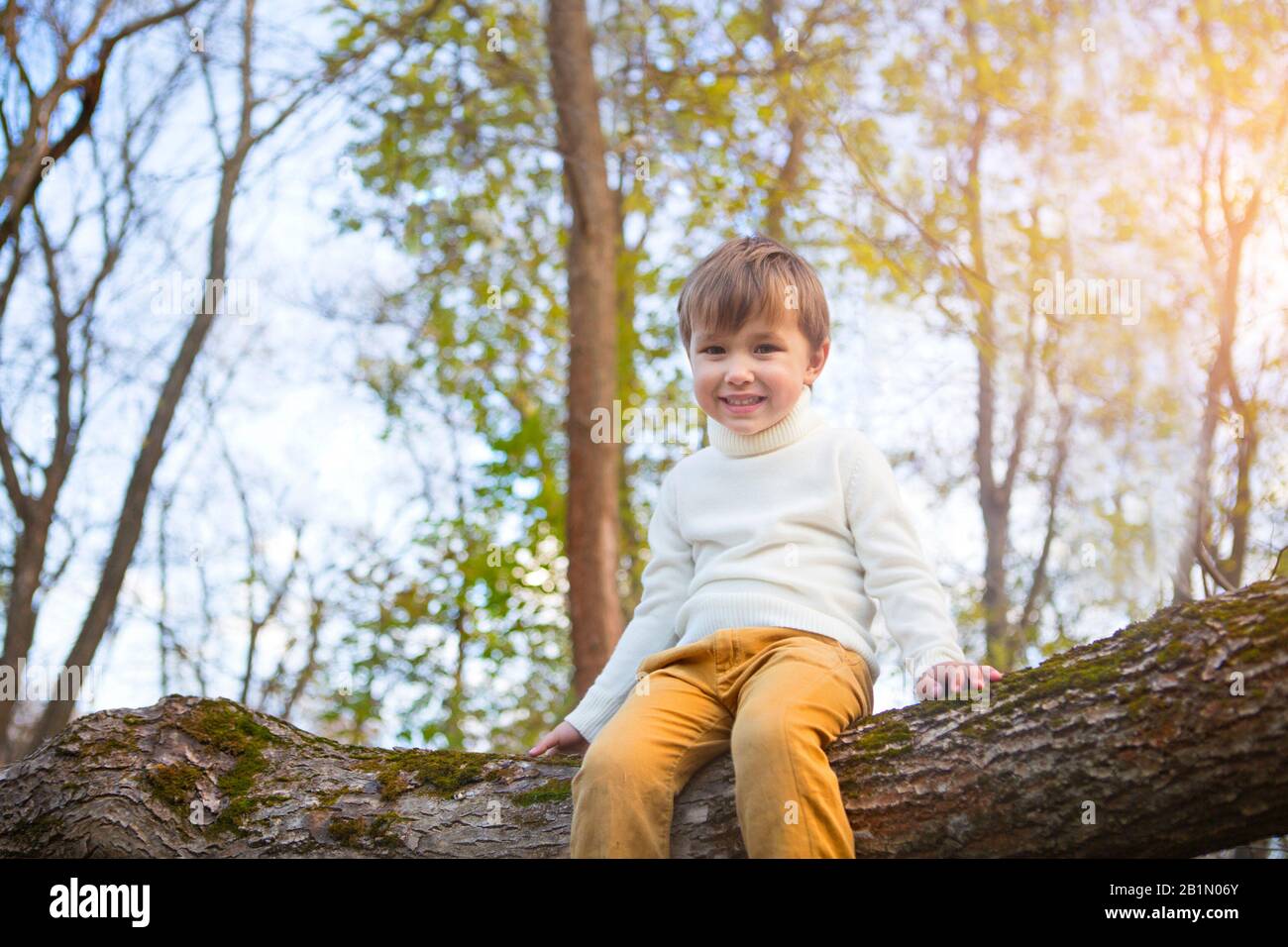 Adorable smiling little boy in the park on sunset sitting on the tree ...