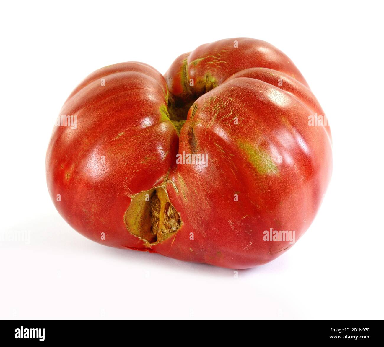Strange shape fresh tomato isolated on white background Stock Photo - Alamy