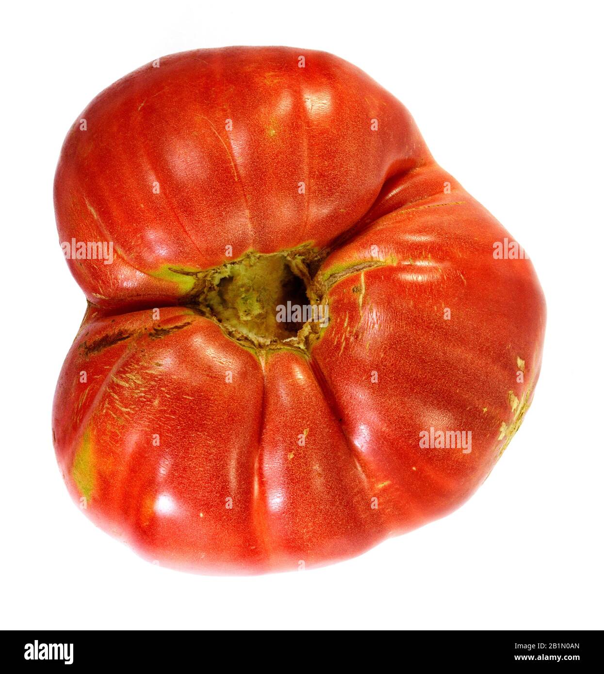 Strange shape fresh tomato isolated on white background Stock Photo - Alamy
