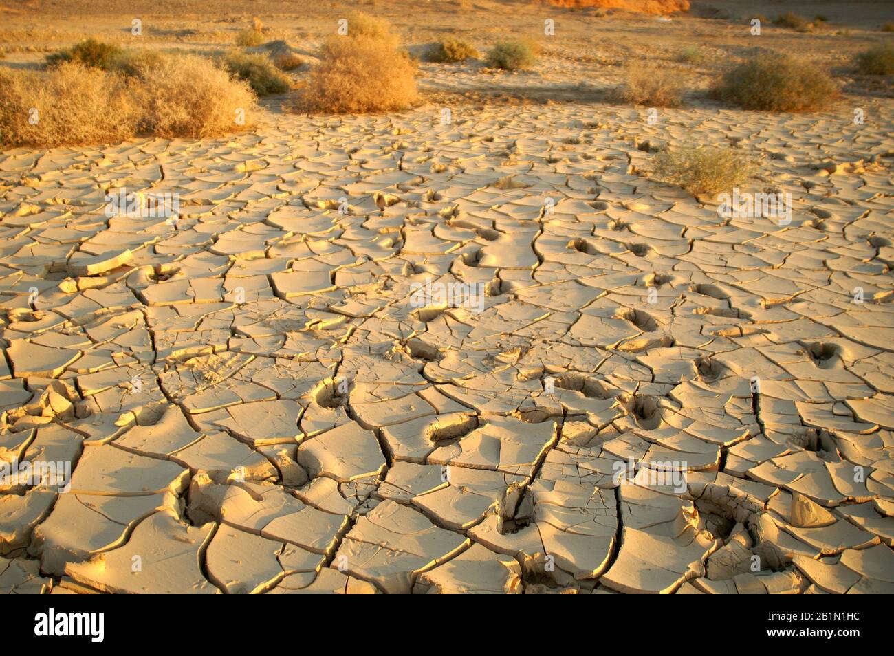 Dry soil - no water - desert land - ecology problems Stock Photo - Alamy