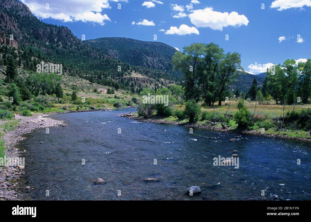 Rio grande national forest hi-res stock photography and images - Alamy