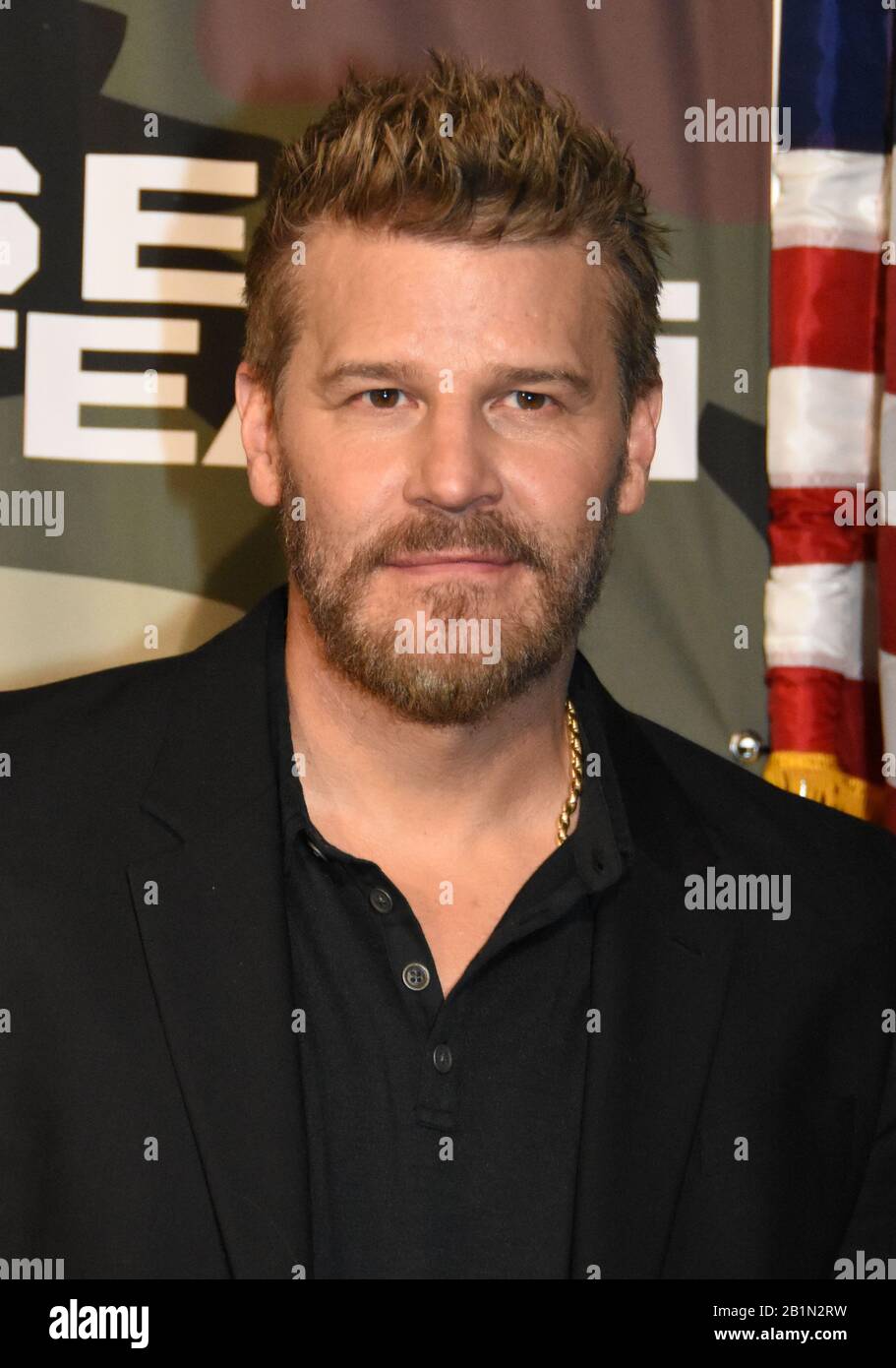 Hollywood, California, USA 25th February 2020 Actor David Boreanaz ...