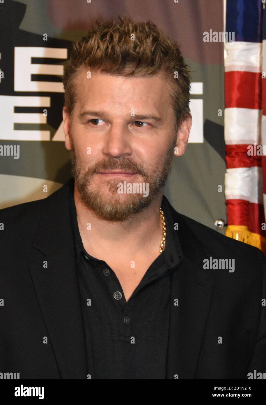Hollywood, California, USA 25th February 2020 Actor David Boreanaz ...