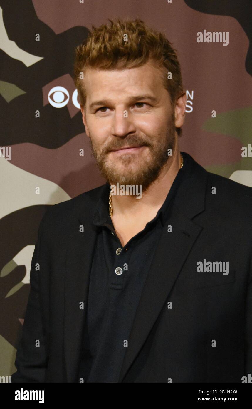 Hollywood, California, USA 25th February 2020 Actor David Boreanaz ...