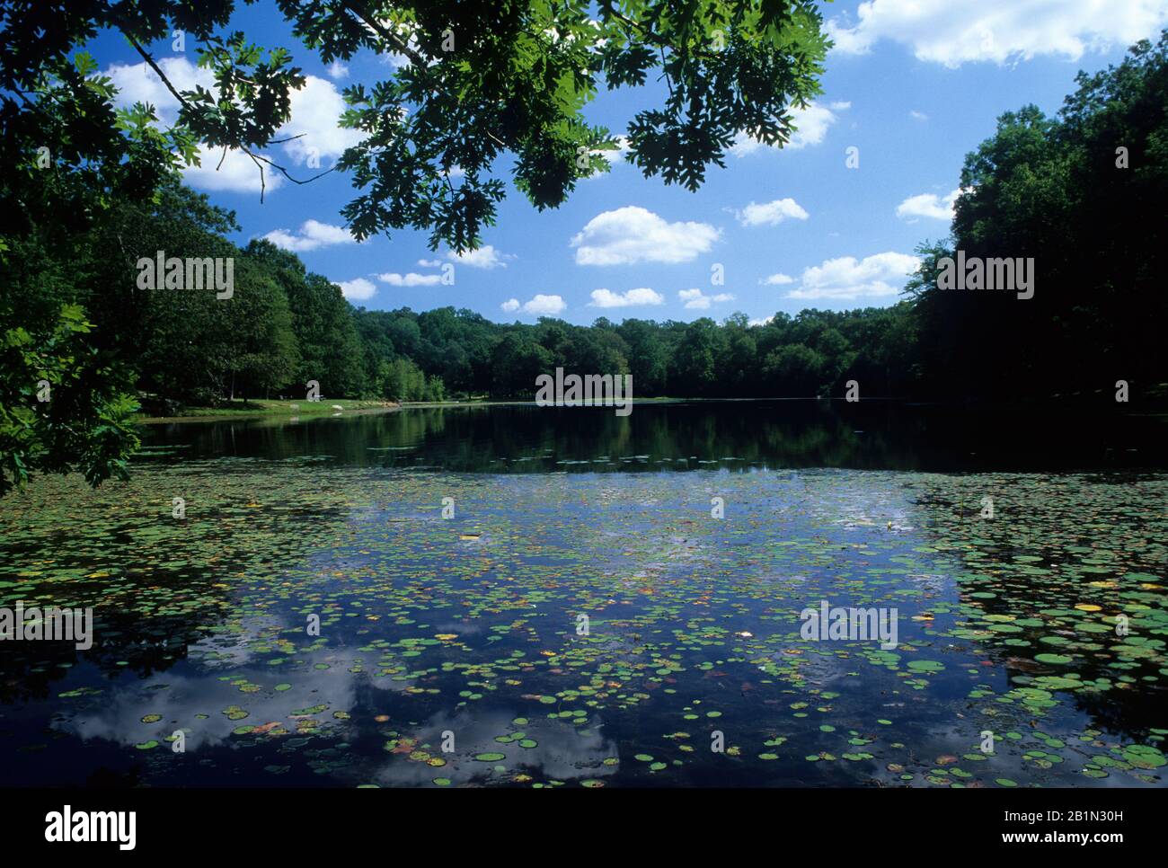 Day Pond, Day Pond State Park, Connecticut Stock Photo - Alamy
