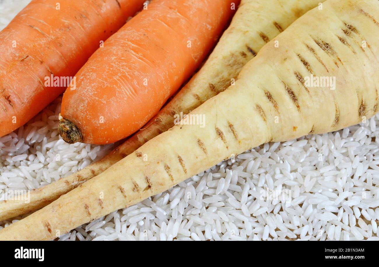 Asian parsnip hi-res stock photography and images - Alamy