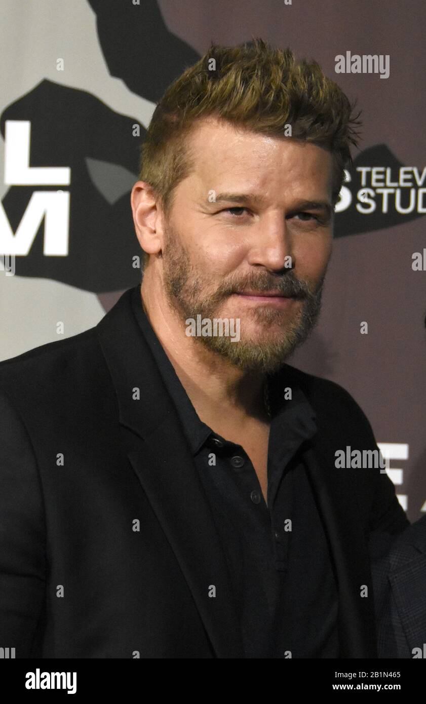 Hollywood, California, USA 25th February 2020 Actor David Boreanaz ...