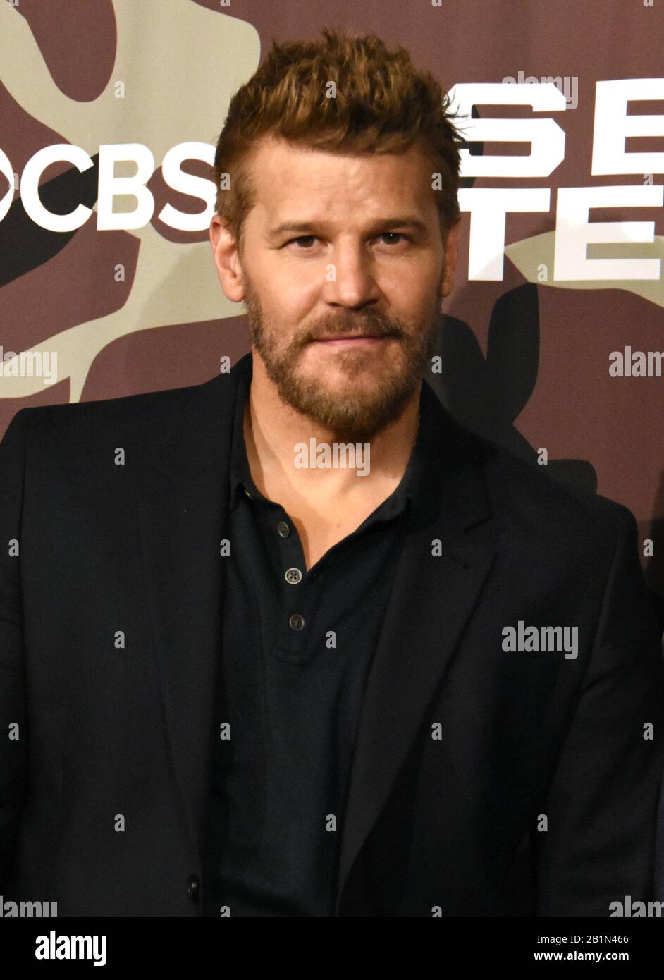 Hollywood, California, USA 25th February 2020 Actor David Boreanaz ...
